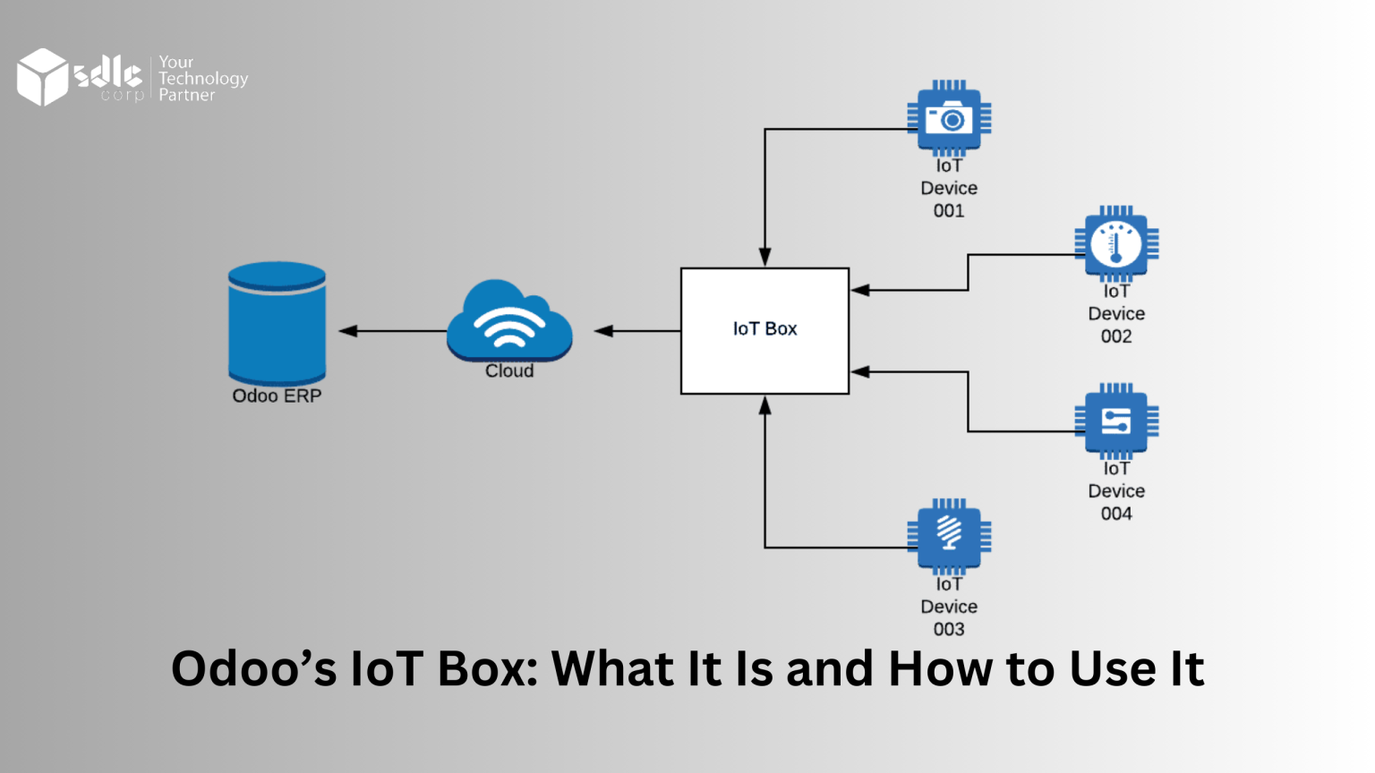 Odoo’s IoT Box: What It Is and How to Use It - SDLC Corp