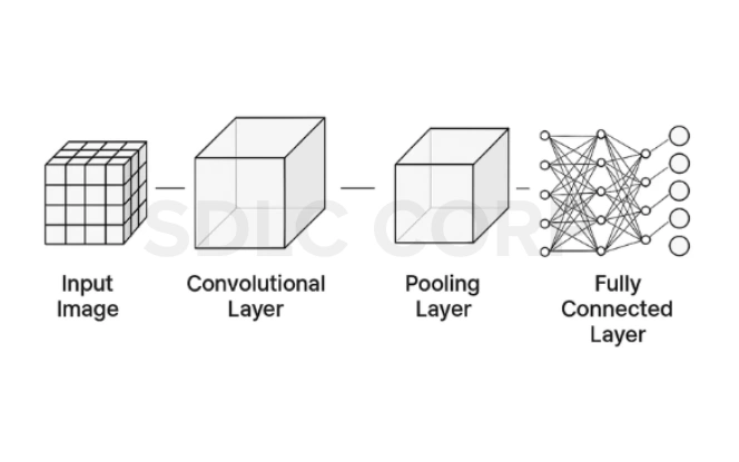 Convolutional Neural Networks (CNNs) - SDLC Corp